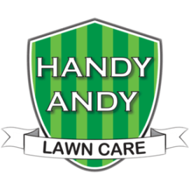 Learn About Preventing and Treating Lawn Diseases in 2024